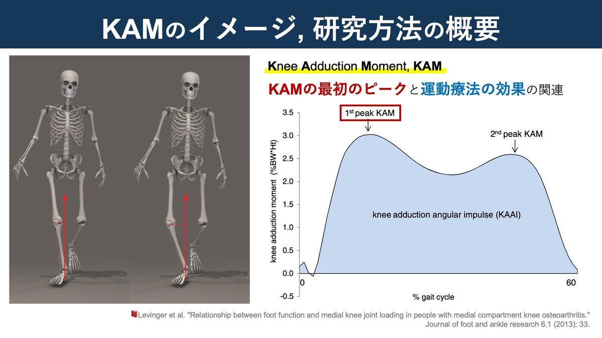 運動療法後のKAM変化｜Super Human | 理学療法士／保健学博士 Ph.D.