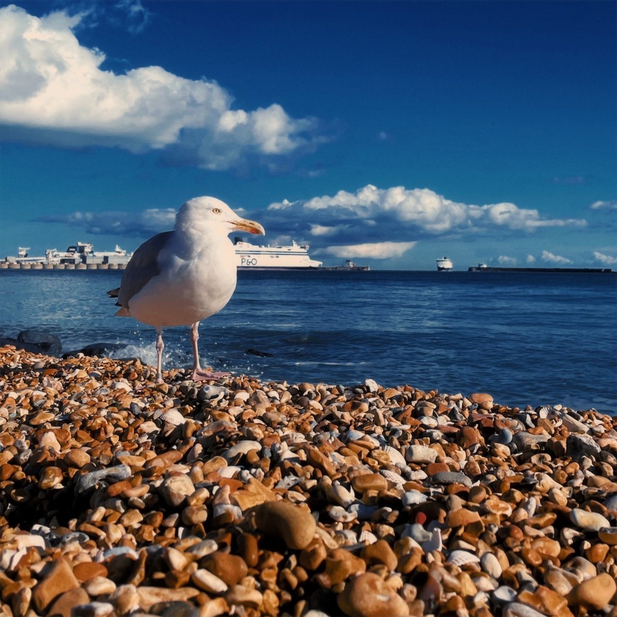 シンガーソングライター、Ai Ninomiyaが7月19日に新シングル「ミルキー」をリリース｜EVENING - 本気で遊ぼう。音楽で。