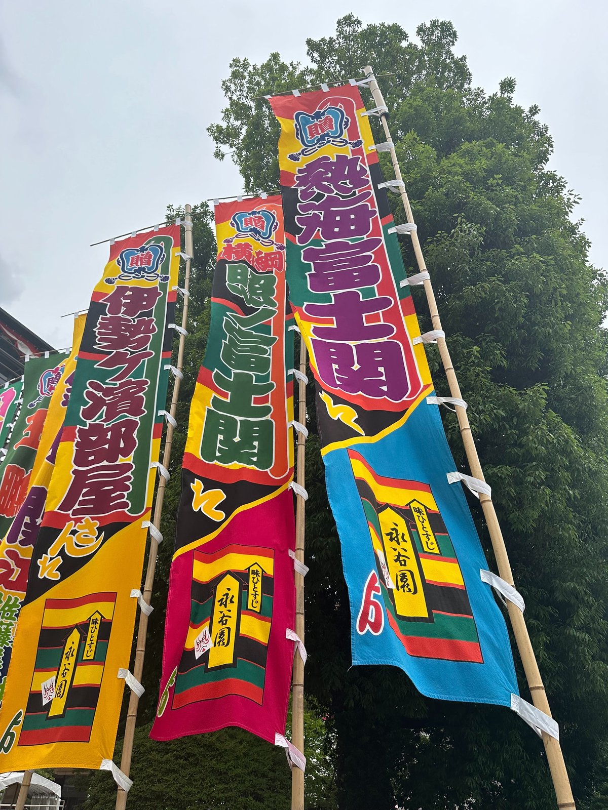 2024/5/23 大相撲五月場所（国技館）｜NicePapa 平野 尚志