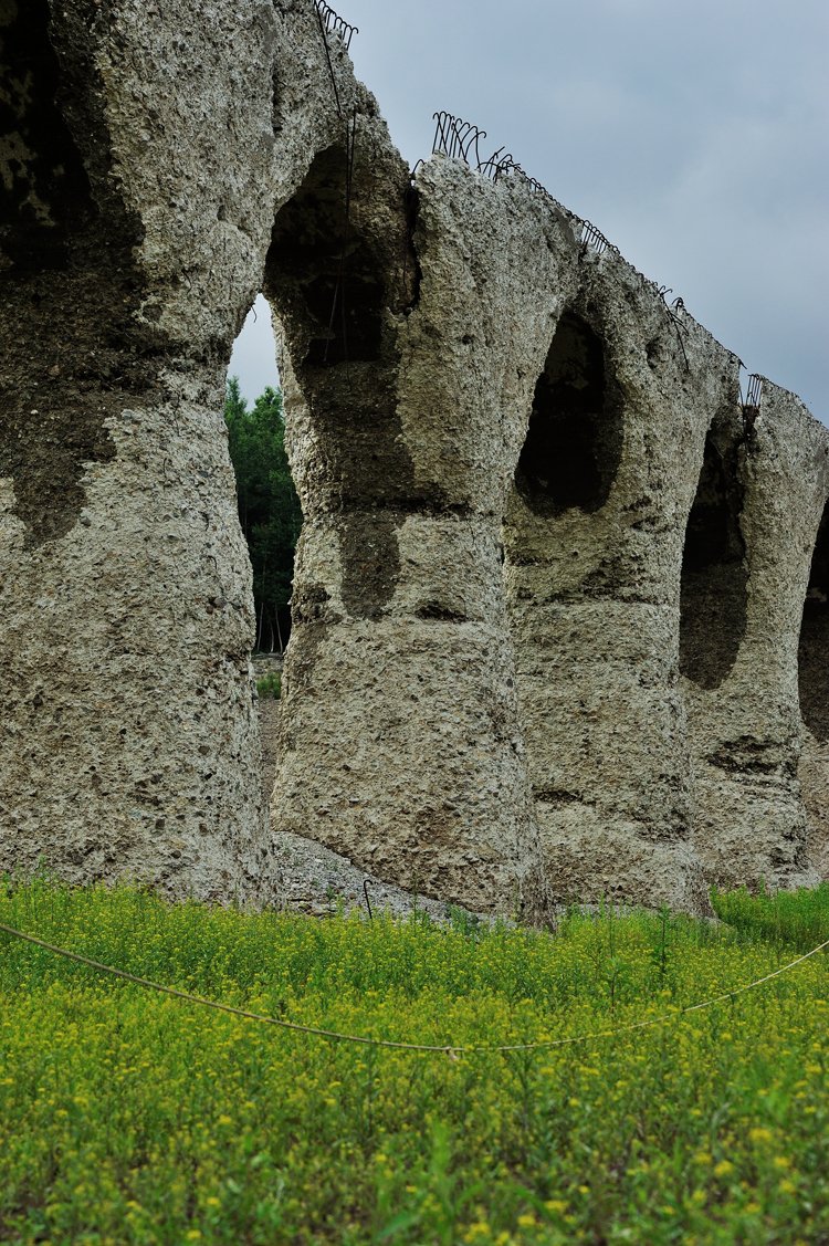 2014.7.19｜岩崎 量示｜Ryoji Iwasaki