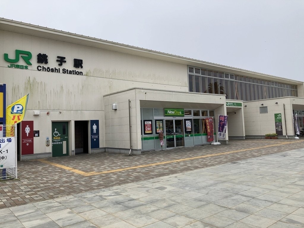 E259系「成田エクスプレス」と「しおさい」乗り継ぎの旅｜Yukimura Ani