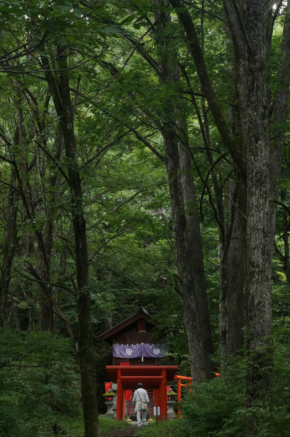 Source of creation｜海老八光(Hakko Ebi)