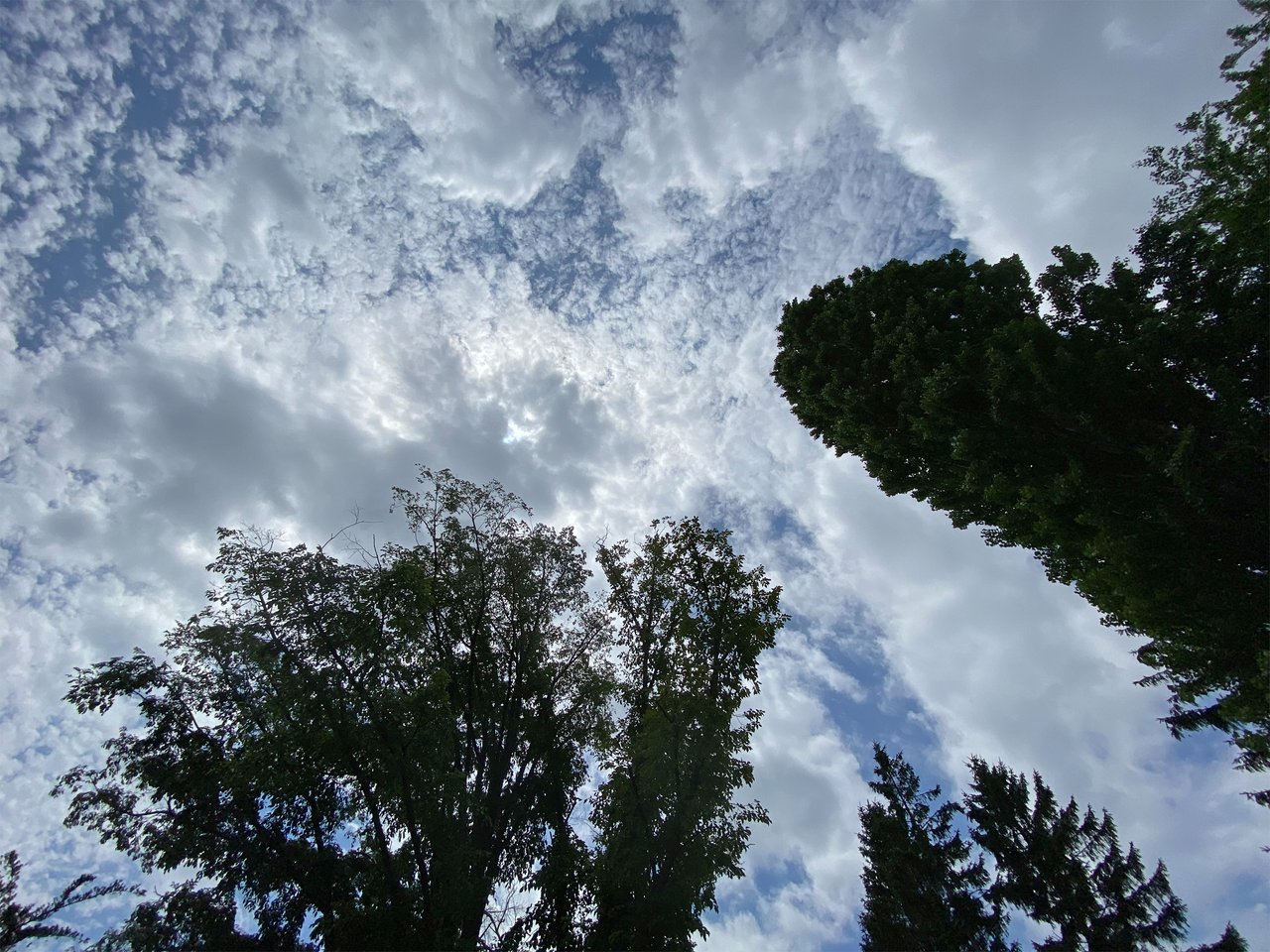 まさ / Atelier Masa｜note