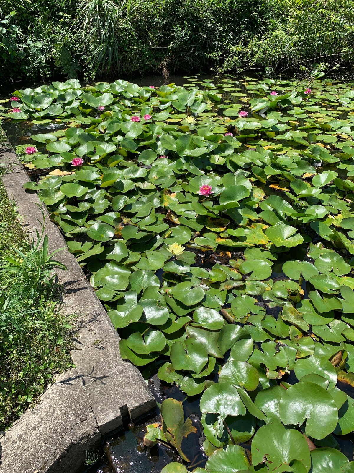 暑い夏のある日｜mbook.26