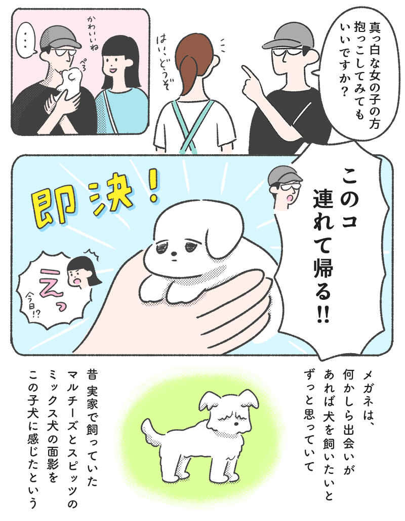 「いぬとのこと」#22 【特別編】奇跡のこと｜YAYO/NU