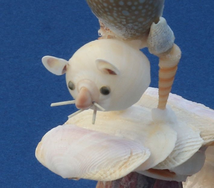 「跳馬」｜zoo_shell