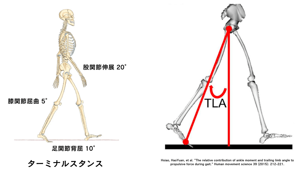 臨床歩行分析の教科書｜理学療法士による臨床のためのnote