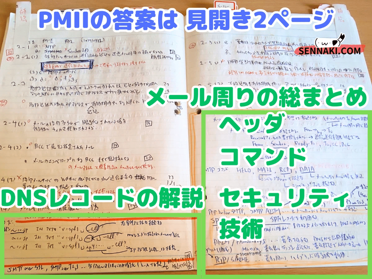 【合格者の知識】DNSレコードの全て（SC, NW）｜せんない