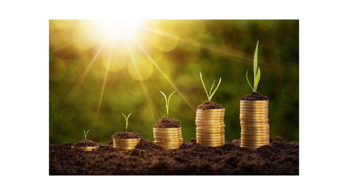 税理士さんによるiDeCo（イデコ）の授業まとめ。 【お金の授業#12】｜SHINGO KOYA