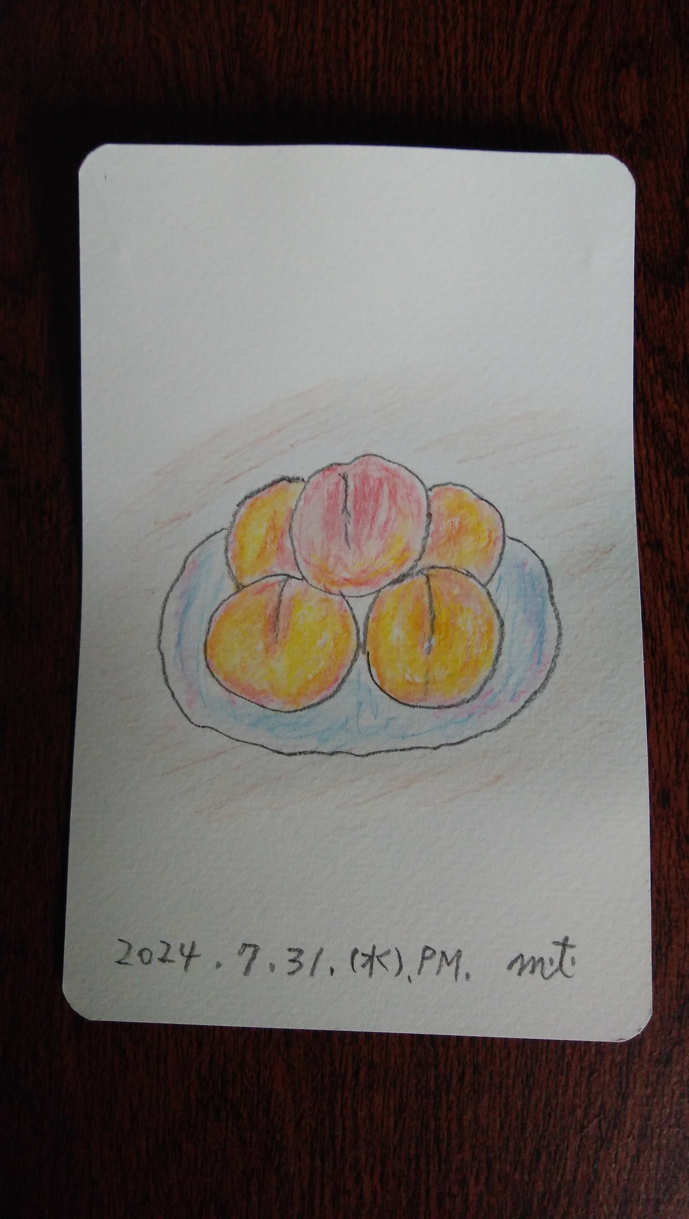 miyukitty日記2024NO11｜miyukitty