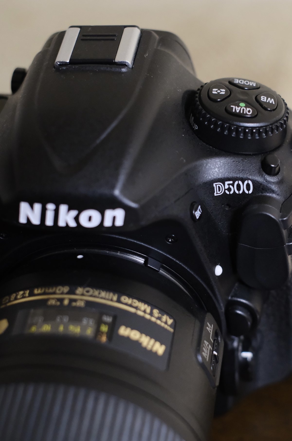 Nikon D500で撮るのは楽しい｜No.54