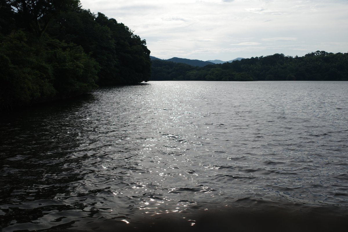 セカンドハウス 『内装工事終わる』｜季節花人 | Shoko Kondo