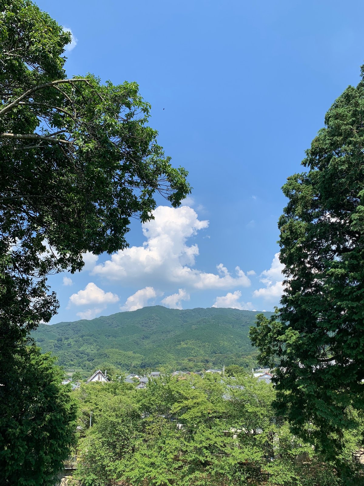 サンカクを見つけに。｜mbook.26