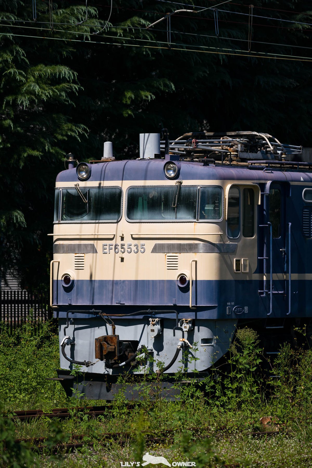 東芝府中事業所のEF65-535｜UnderTree Creative