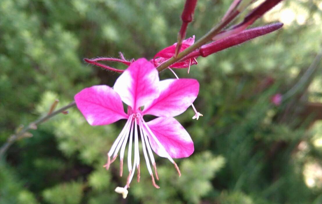 首をかしげる｜Coto