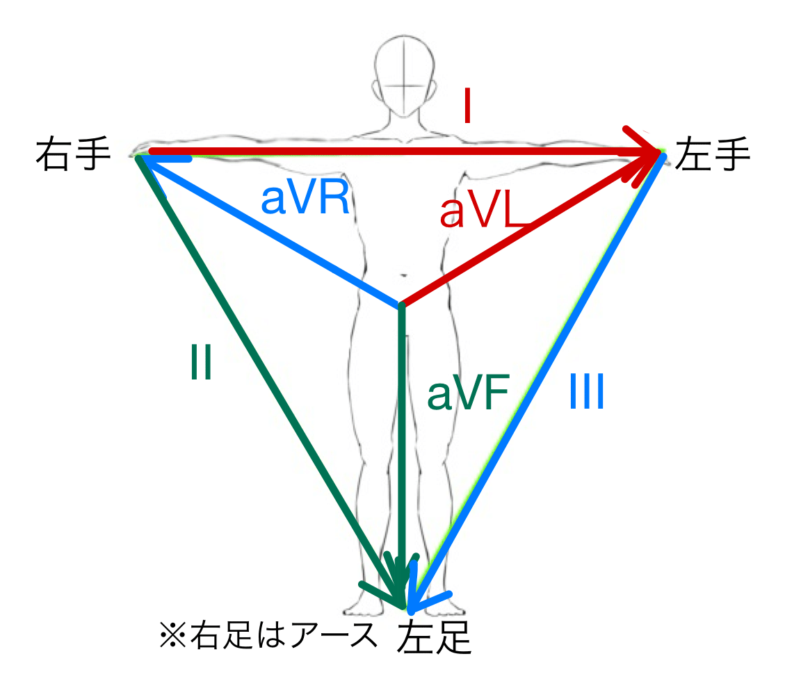 【勉強メモ】心電図 電気軸の計算方法 解説｜つかれのーと