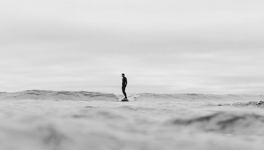 動物と暮らす。Vol.81「おもしろペットグッズみっけ！」｜HEKA Petlife株式会社