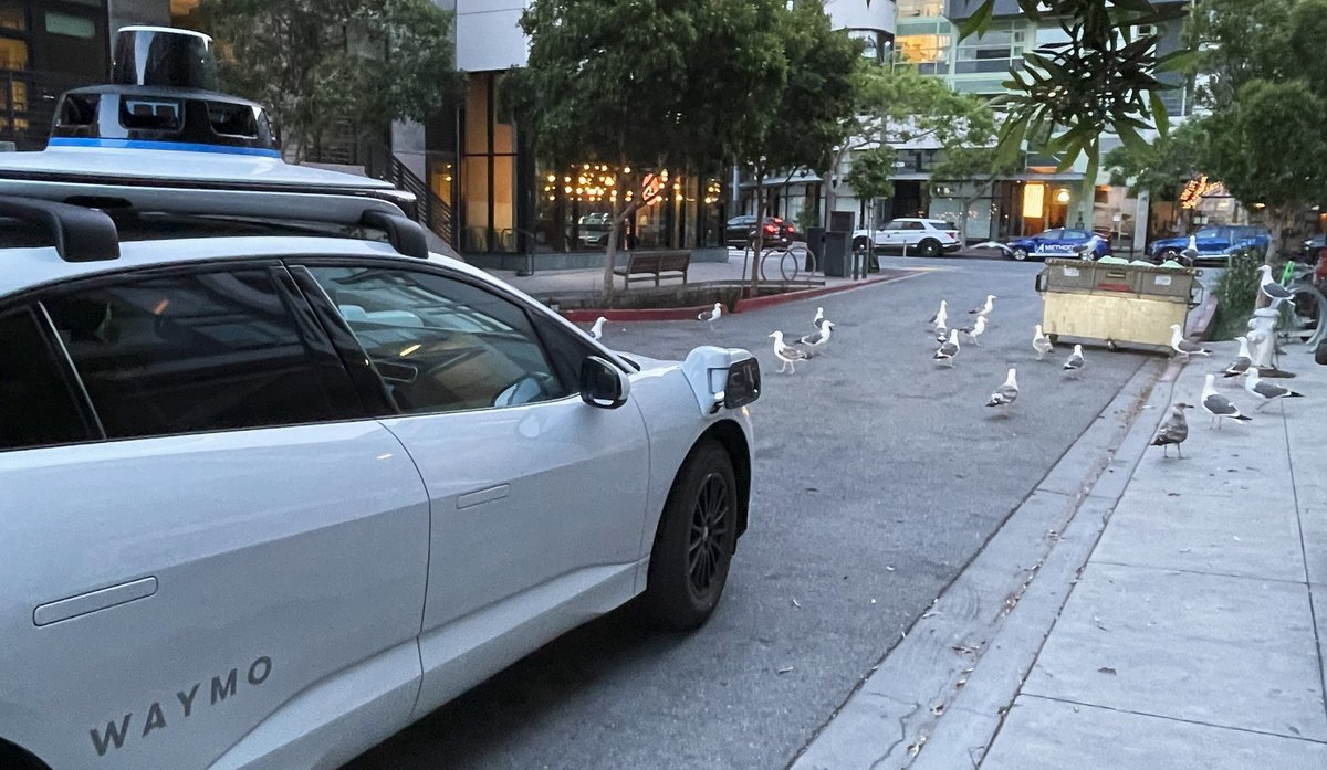 体験レポート①：自動運転車「Waymo」の乗車_その2｜Seiya Takahashi