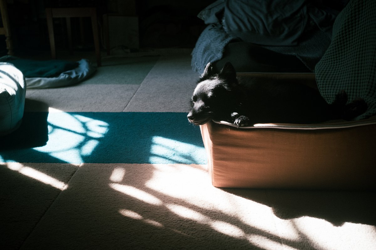 Leica M10-D レビューと作例。M型の魅力とは。｜Taisuke Yoshida