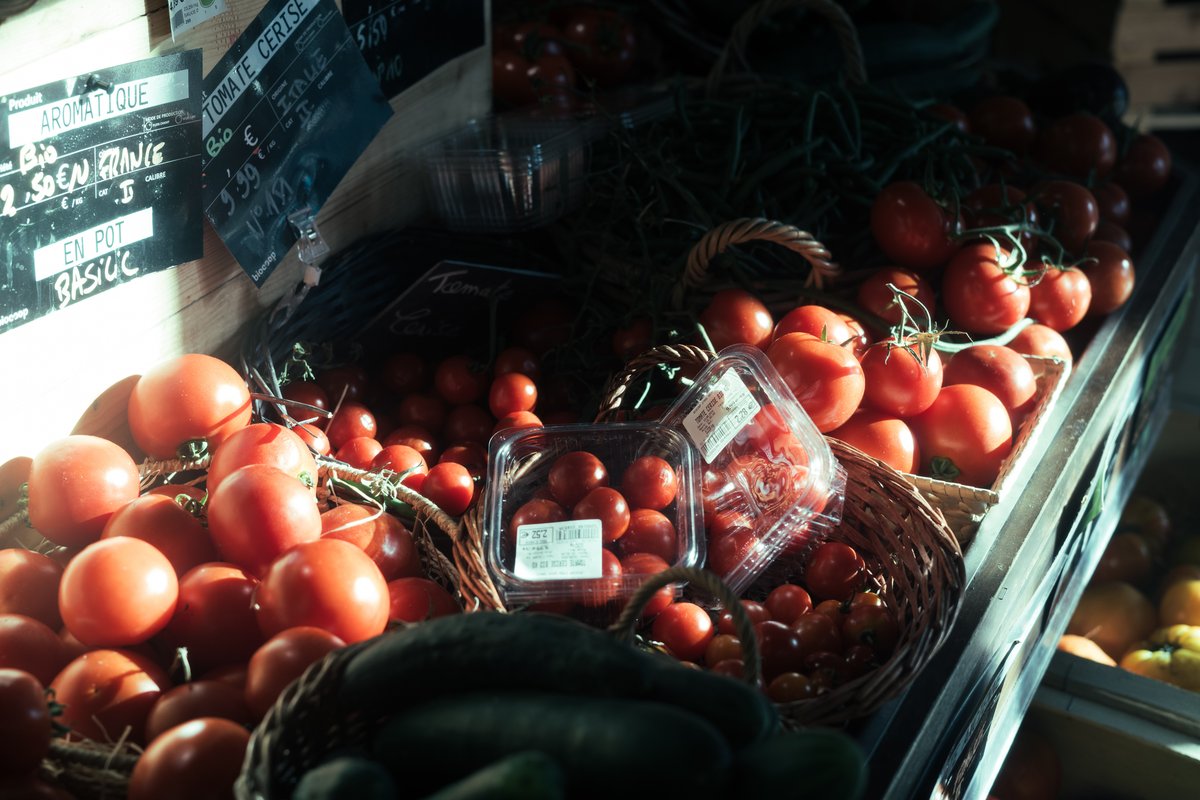 Leica M10-D レビューと作例。M型の魅力とは。｜Taisuke Yoshida