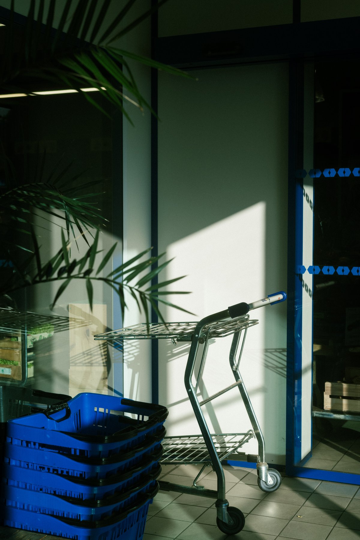 Leica M10-D レビューと作例。M型の魅力とは。｜Taisuke Yoshida