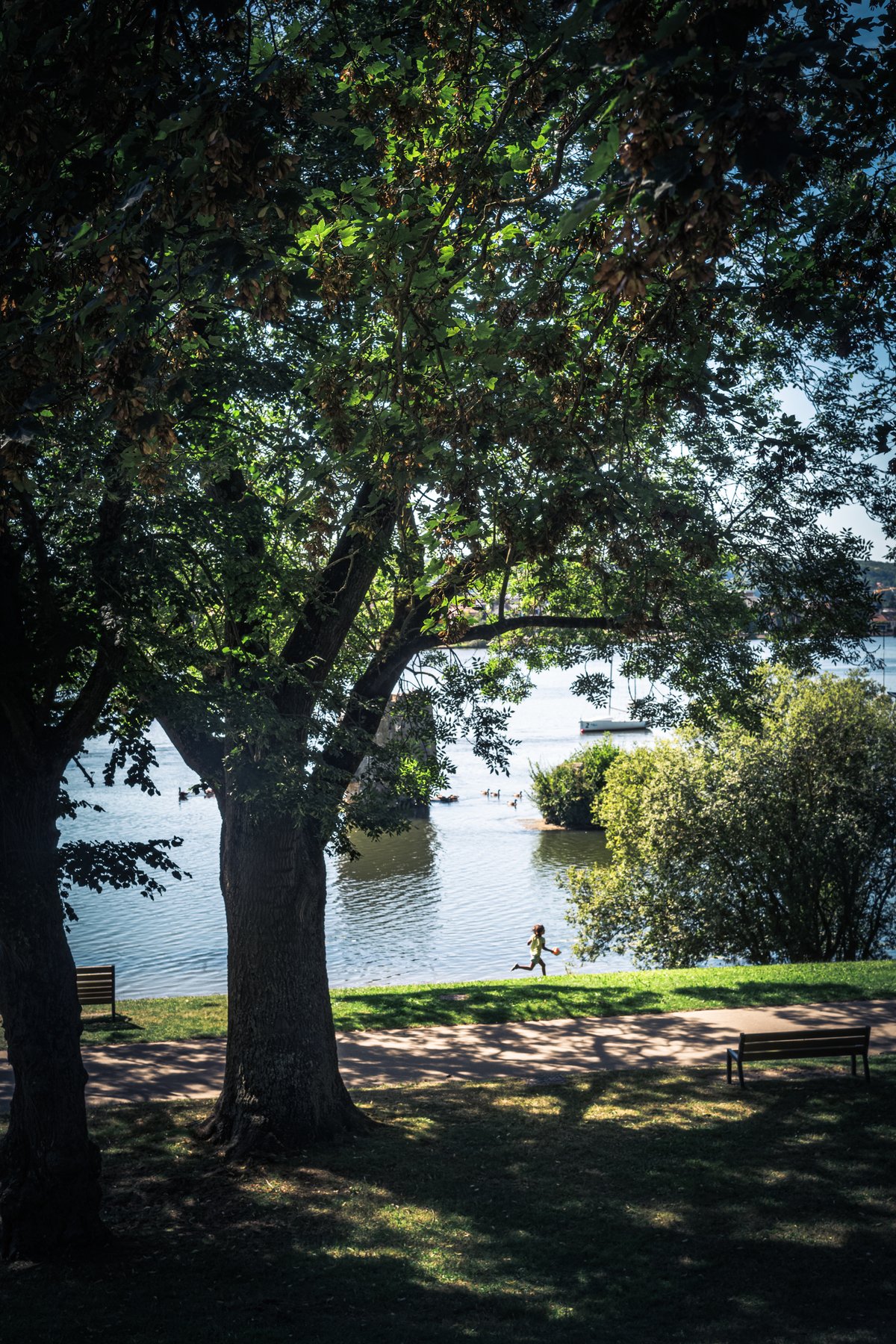 Leica M10-D レビューと作例。M型の魅力とは。｜Taisuke Yoshida