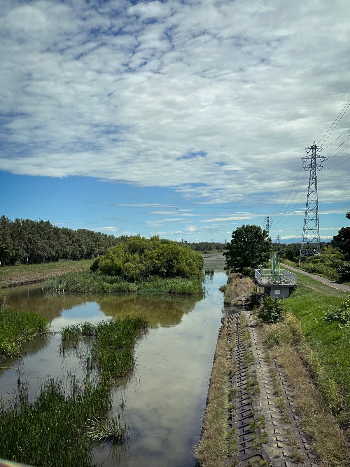 ノヲト、熱中症で倒れる｜殺生ノヲト(Satsuki Note)