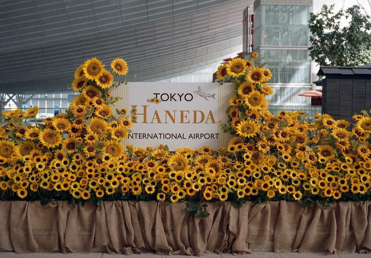 PenD3を持って台湾へ(1)｜robert_oku