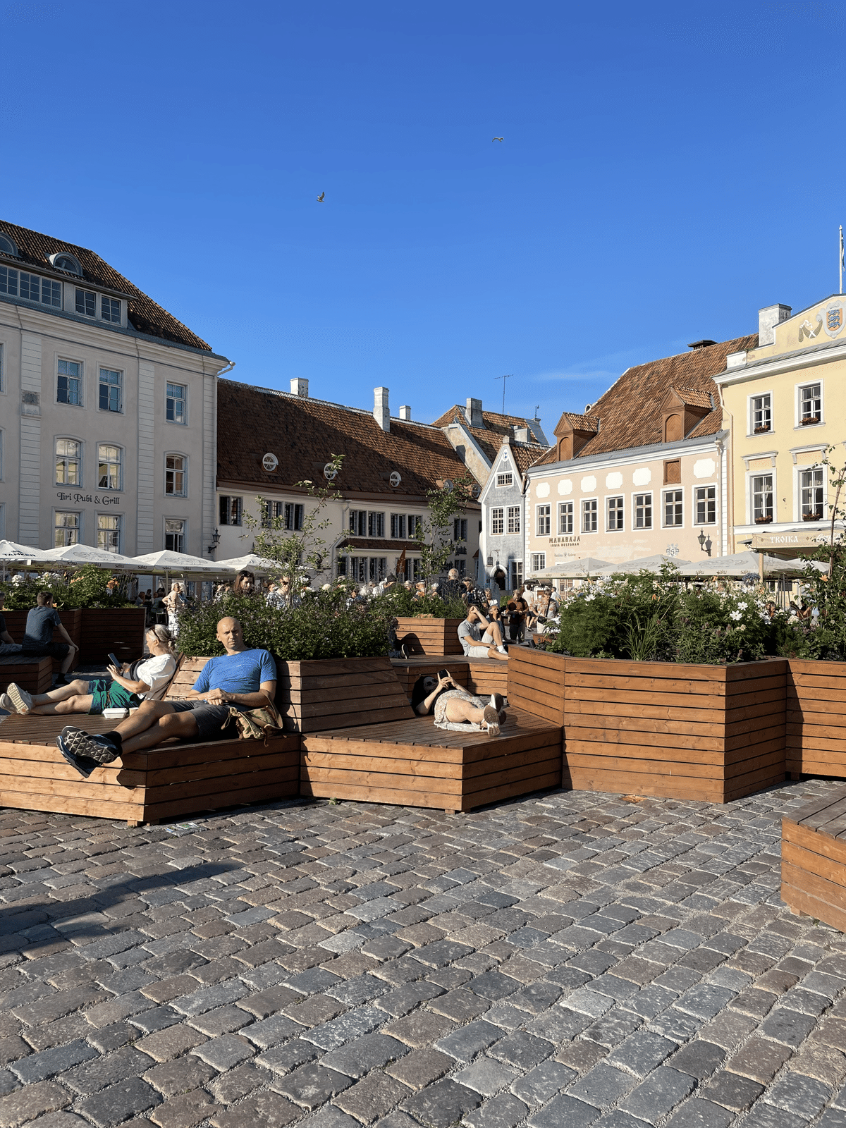 タリンの楽しいストリートファニチャー｜Natsuka Muto