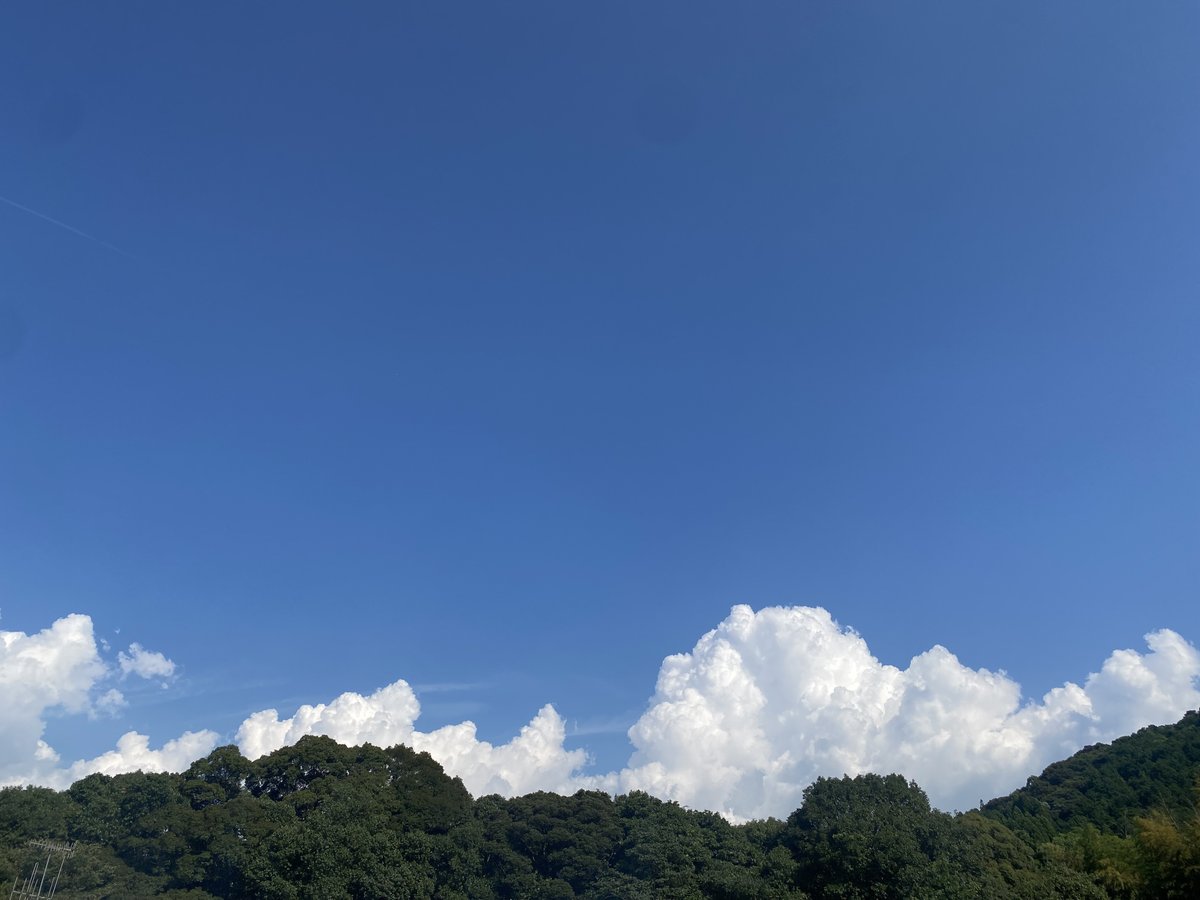 創業から18年目を迎えます｜川野輝之＠ecommit CEO