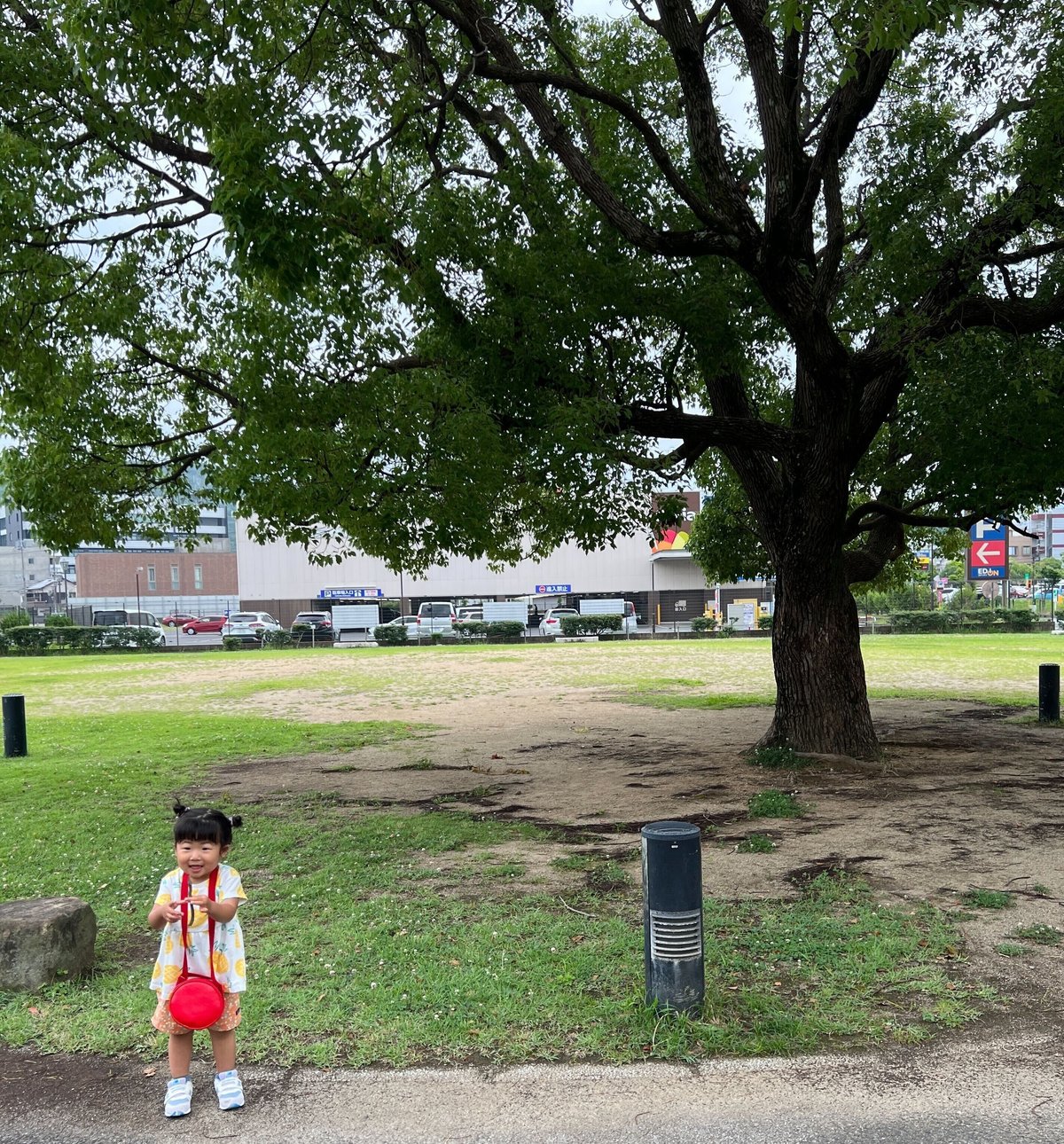 入社エントリ（OPTEMOにjoinしました！）｜Hattori Yosuke【OPTEMO】