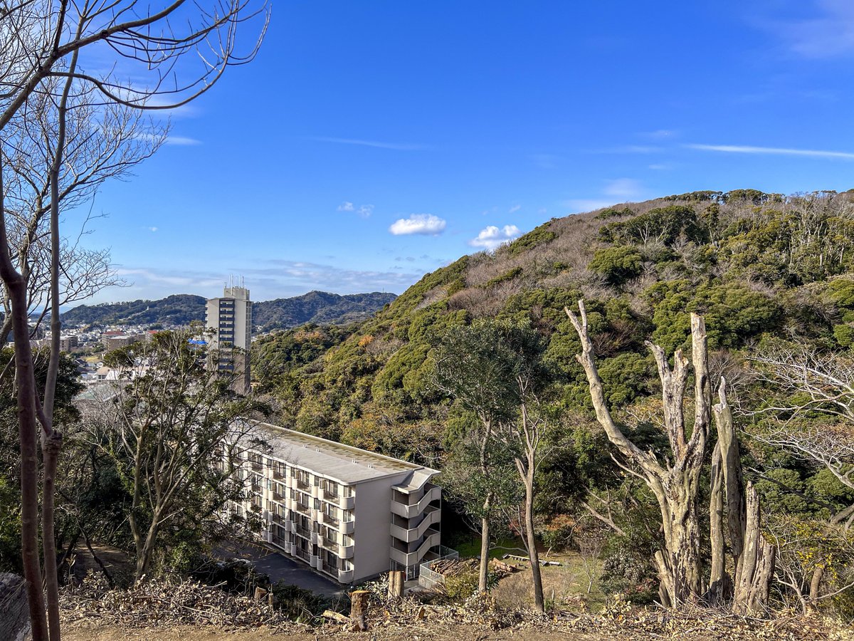 京急が1年半森林のことに取り組んで見えてきたこととこれから｜みうらの森林の編集室