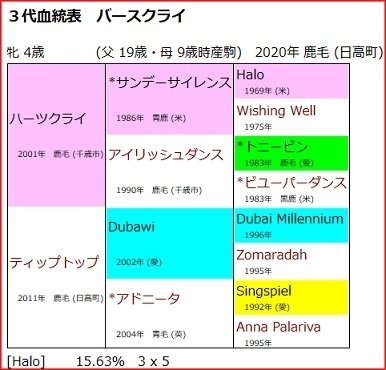 【CBC賞（G3）】～予想篇｜Haya