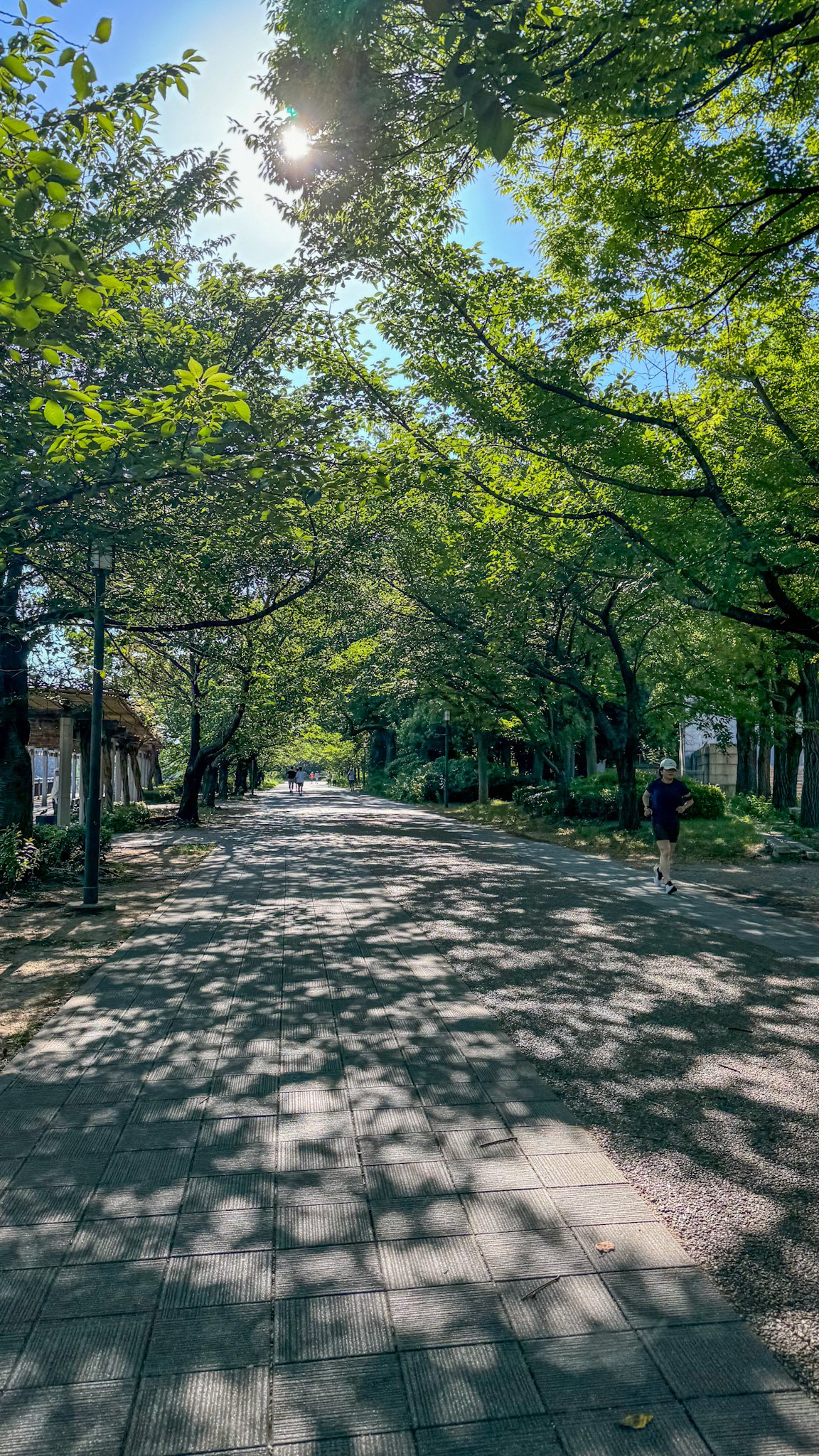 【RAPPORT OSAKA】第1回Morning Run｜RAPPORT MAGNET