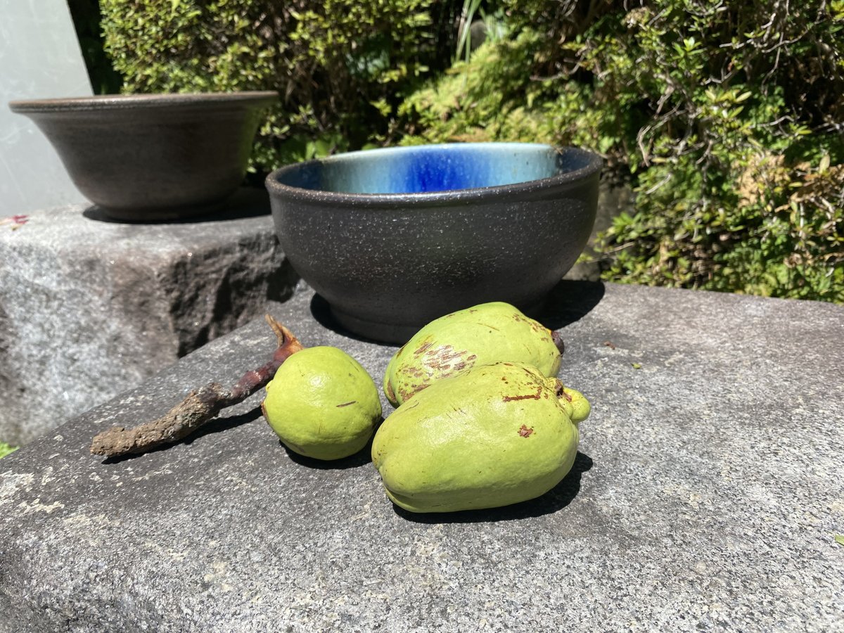 林芙美子『北岸部隊』と軍馬たち｜bonbong