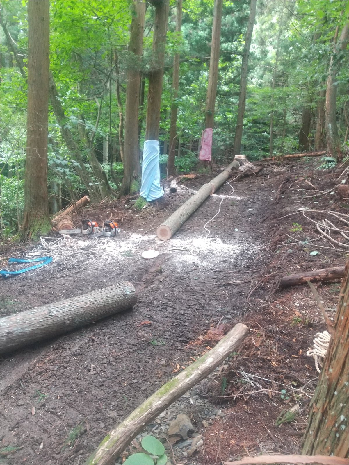 林内作業道づくり｜加藤純 京津畑地域おこし協力隊