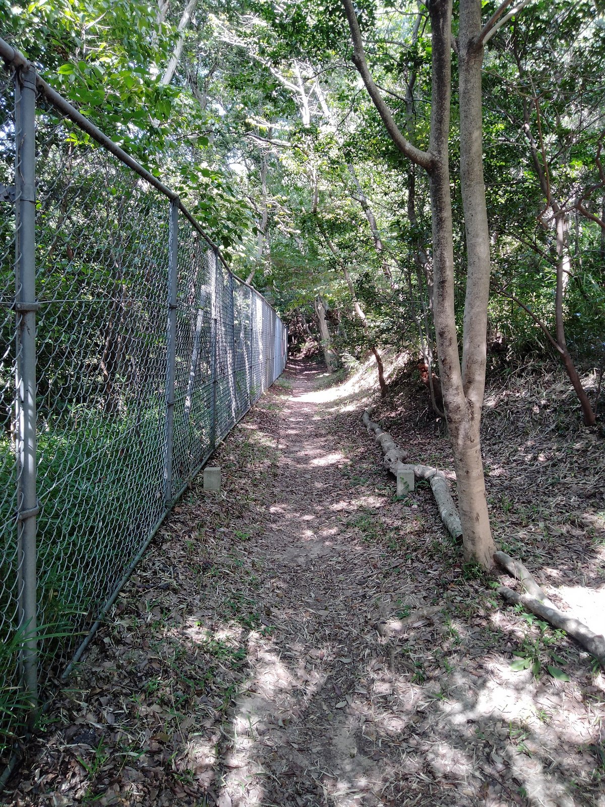 エッセイ 徳川道 神戸事件 2024年8月18日｜ひろと