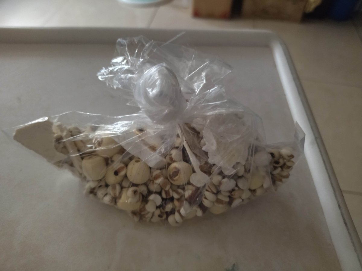 はじめての漢方スープ：四神湯😎 作ってみて｜Popozi