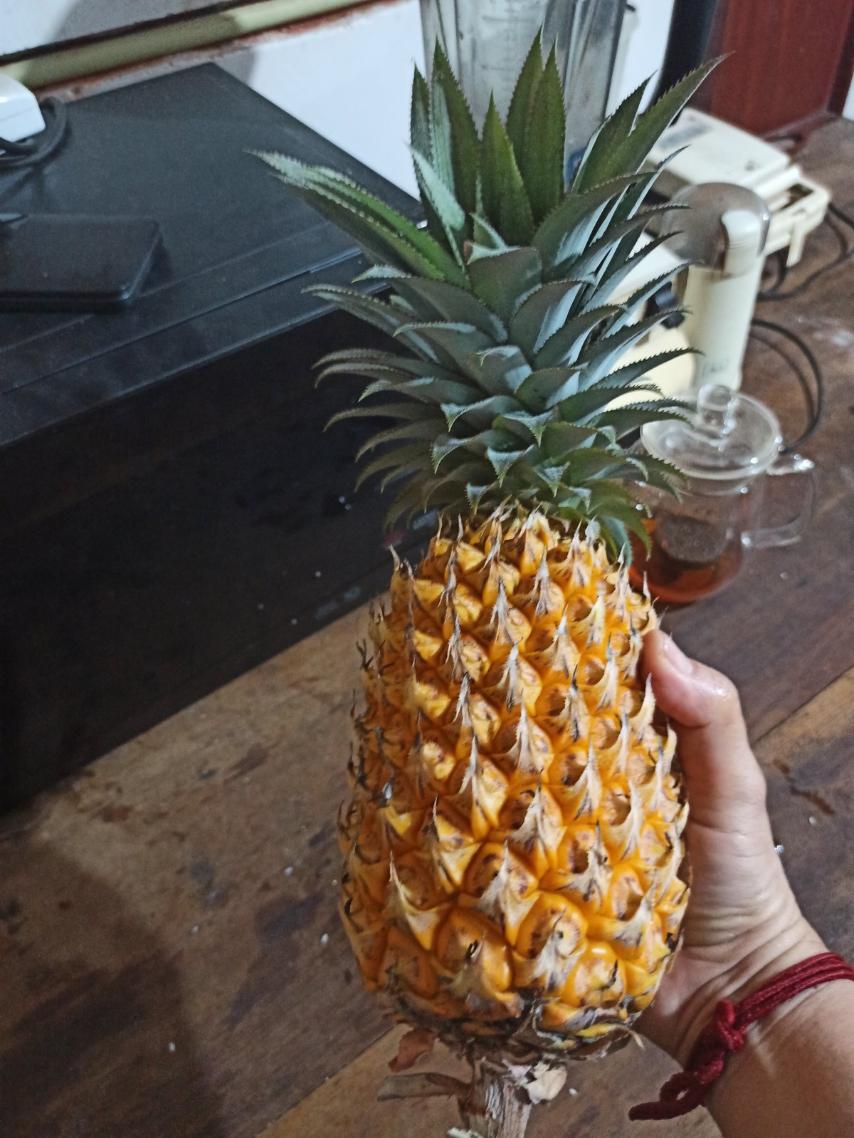 せっかく南国にいるんだから｜J M Chieko