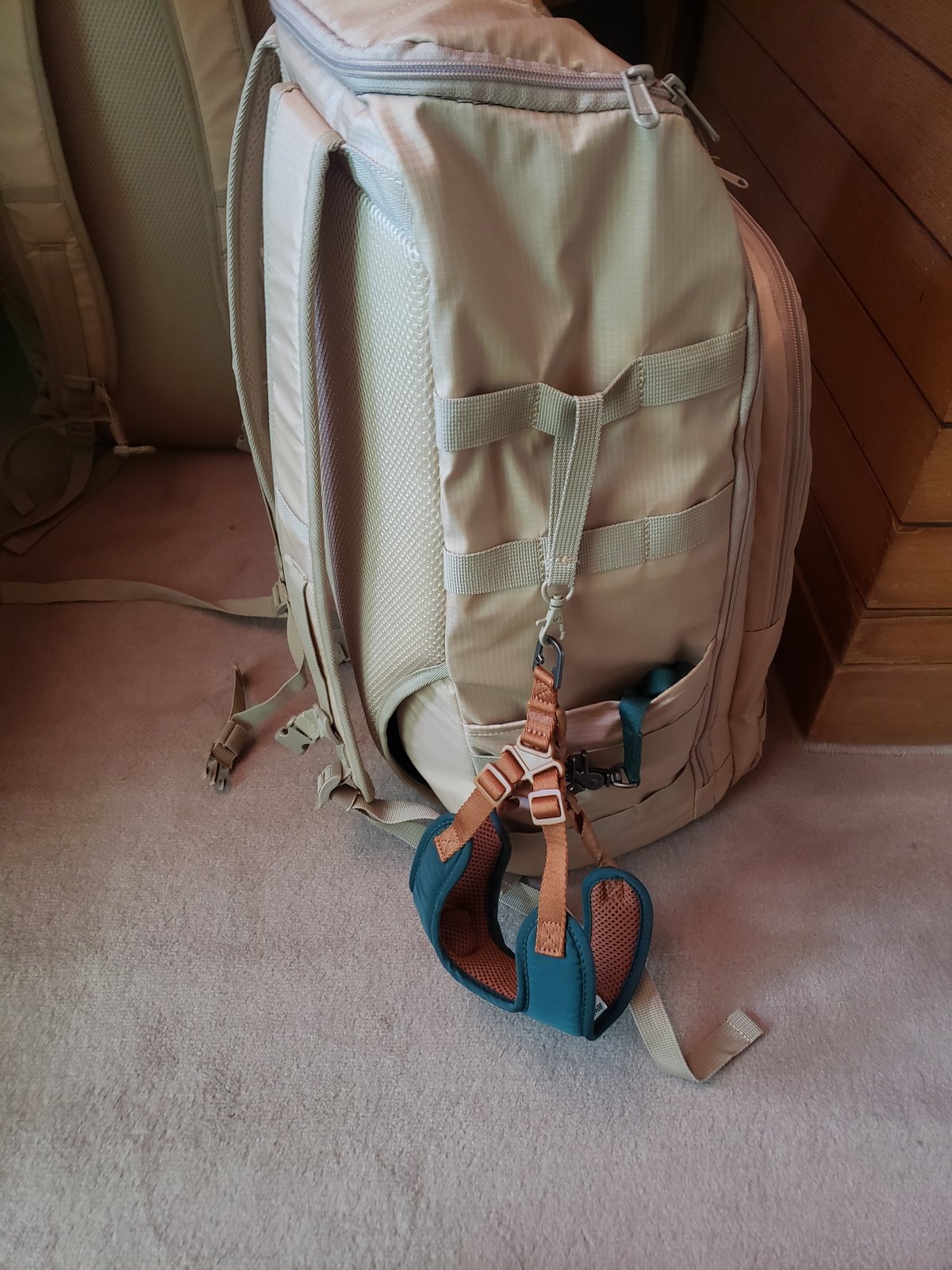 備えってどこまでやったらOK😱💦。。。🥺💘｜madamhiroko