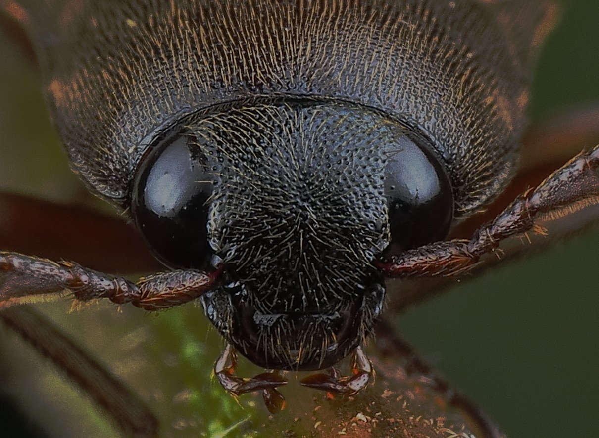 Hirokazu Nakao｜note