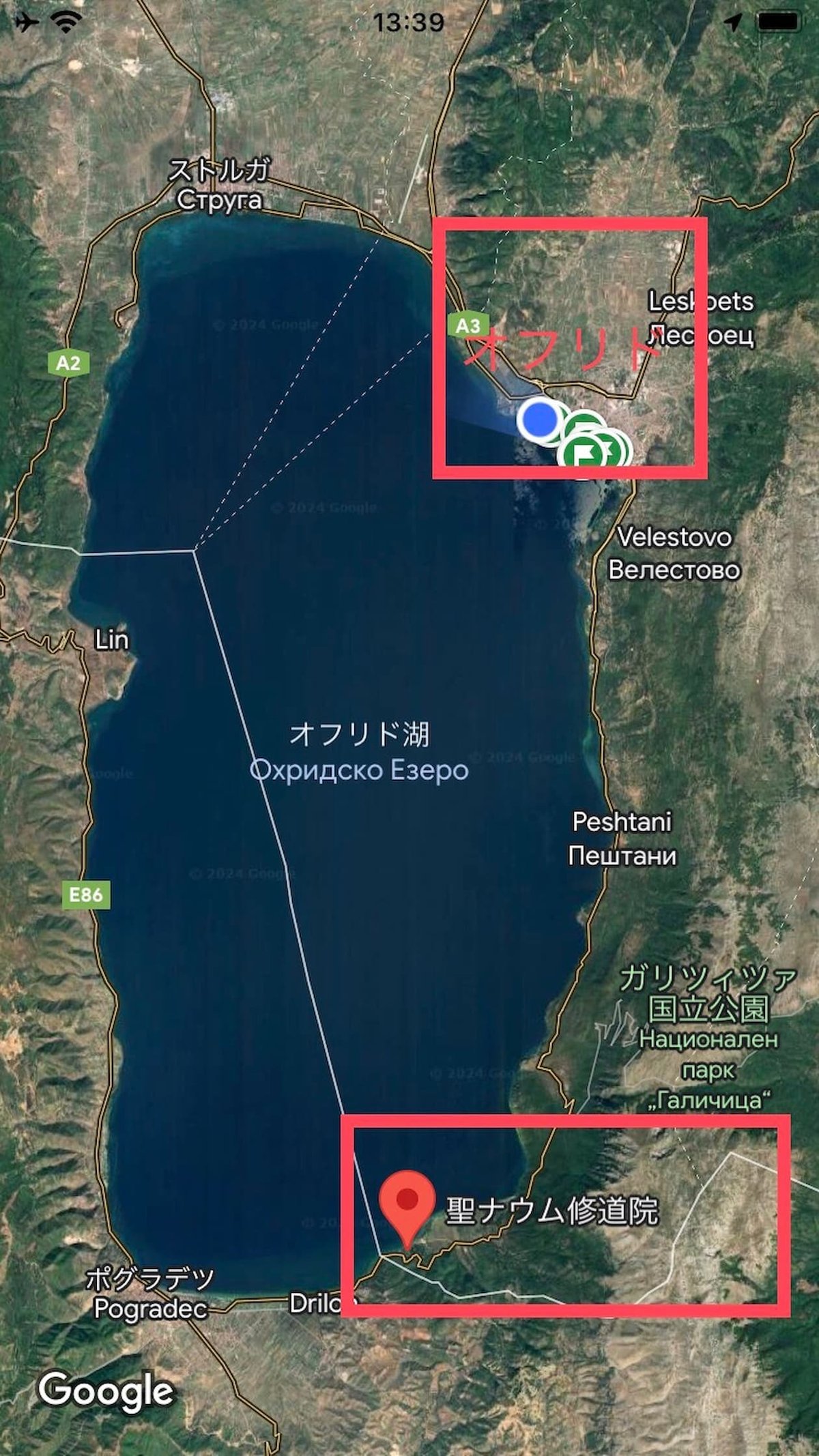 動画制作コース 留学日記15日目｜Writerity school