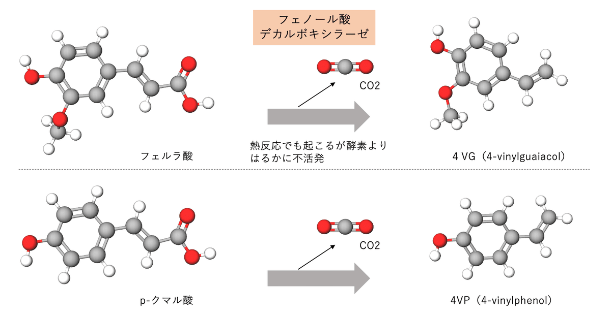 Off Flavor入門〜㉔フェノーリック｜Shiro Yamada