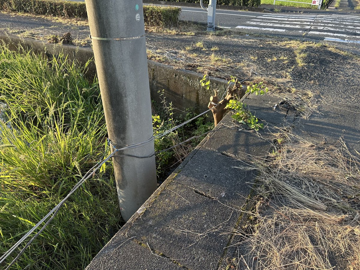 2024 浜名区でみつけたもの - 平口花火大会｜NicePapa 平野 尚志