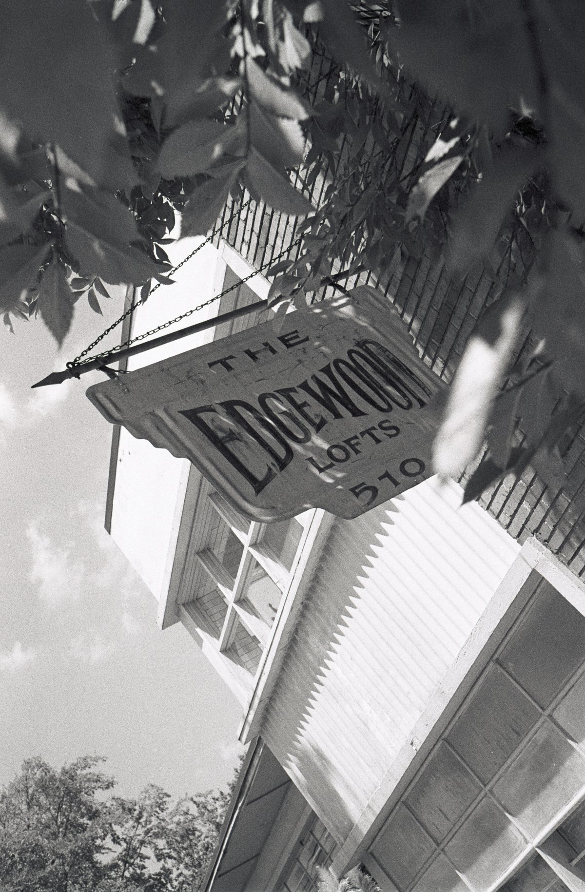 Edgewood AVEでフォトウォーク｜MOJA MOJA