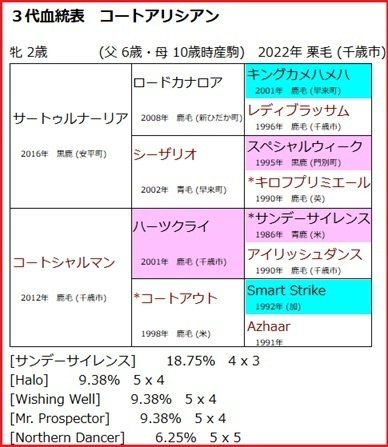 【新潟2歳S（G3）】～予想篇｜Haya