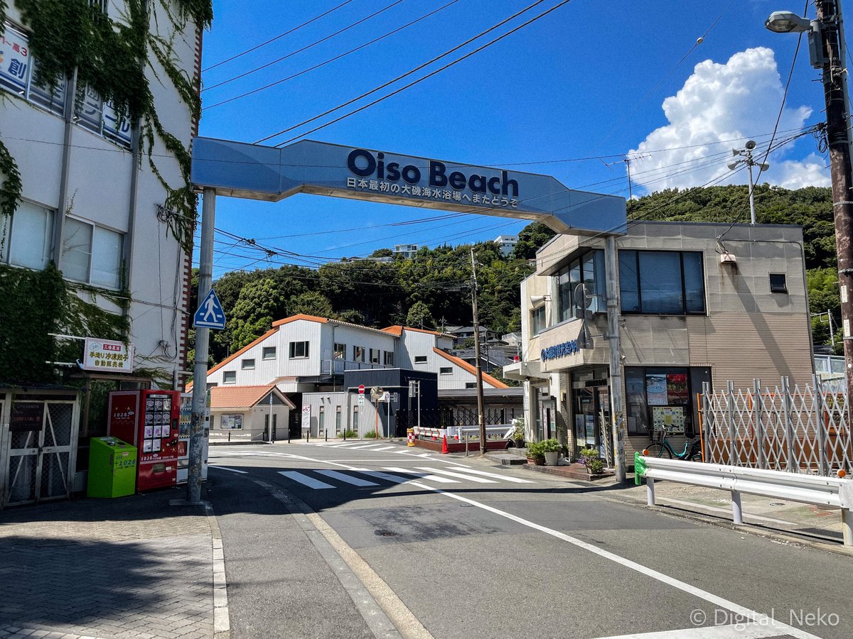 夏の終わり 2024ラフウォータースイム・イン・大磯 3000mの部｜けえる