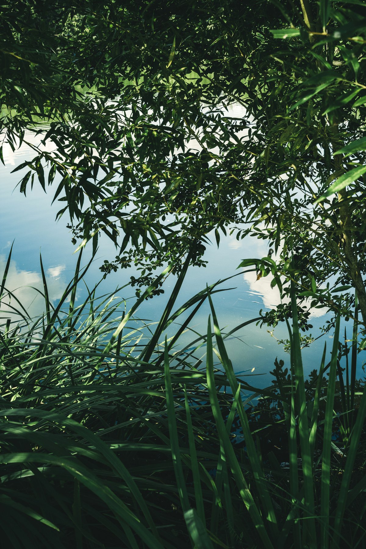 Leica M10-DとVoigtlander 40mm f1.2で散歩｜Taisuke Yoshida