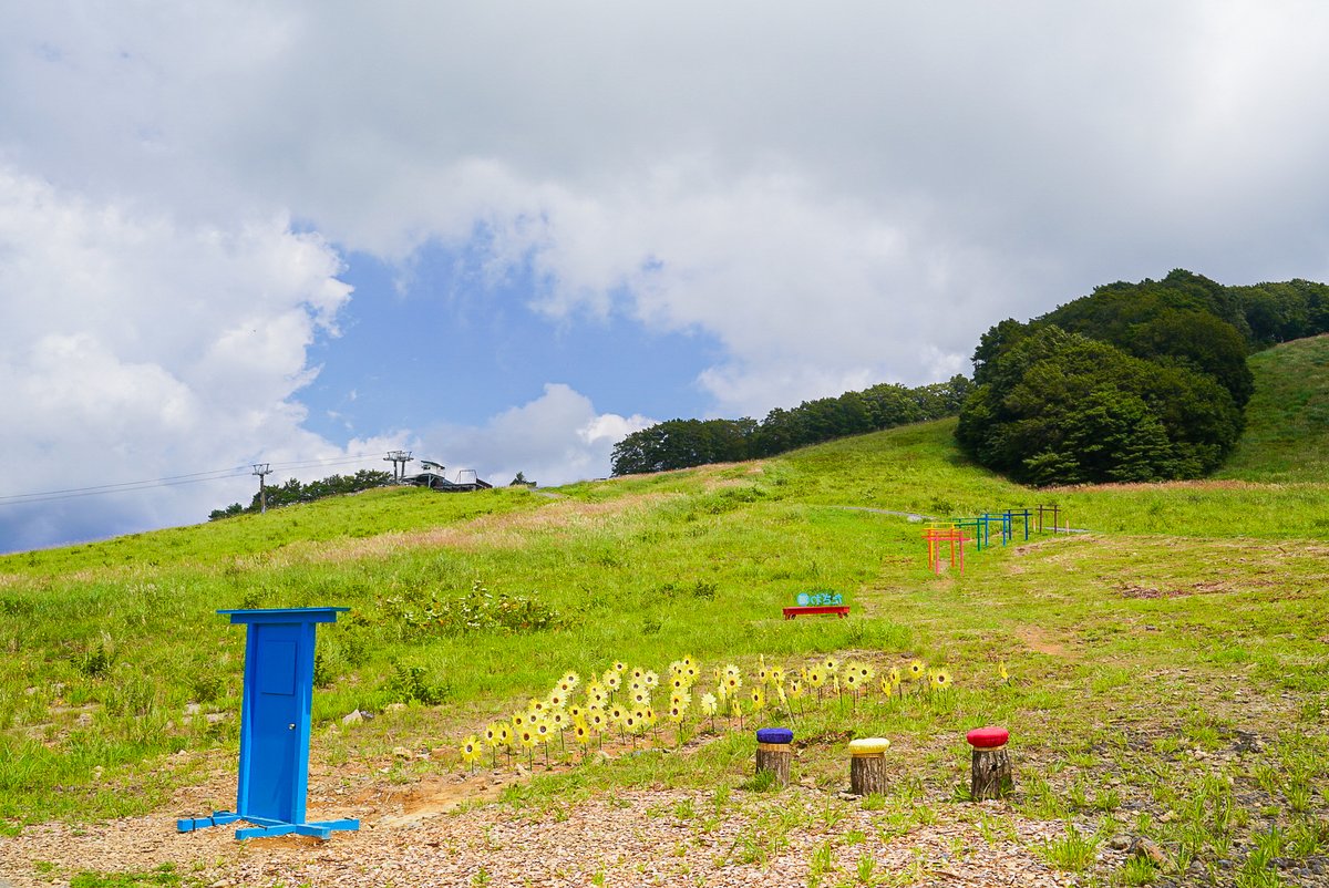 【秋田の旬スポットvol.5】広大なゲレンデを有効活用。見下ろす絶景は唯一無二！｜「ミハラスタザワコ」インタビュー ｜KocchAke!（こっちゃけ）｜秋田県就活情報サイト