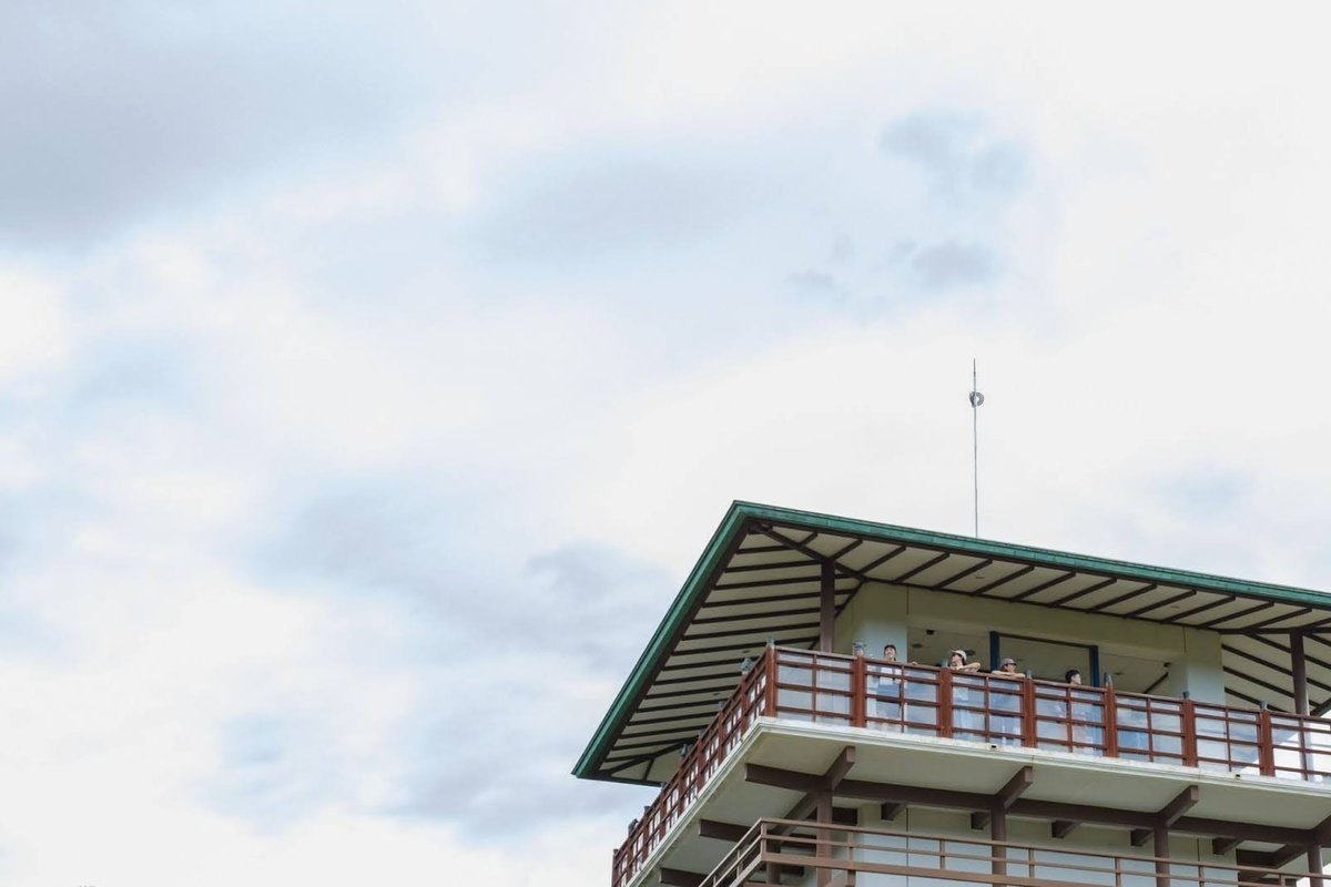 新宿から30分ほどで味わえる文化的山歩「生田緑地」｜社内登山レポ#02｜YAMAP / ヤマップ